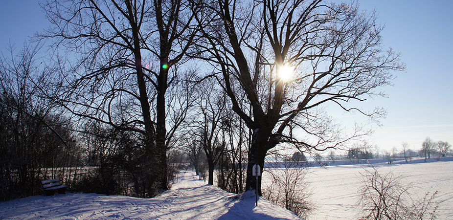 Stadt Erbach, Donau - die junge Donaustadt bei Ulm in Baden-Württemberg